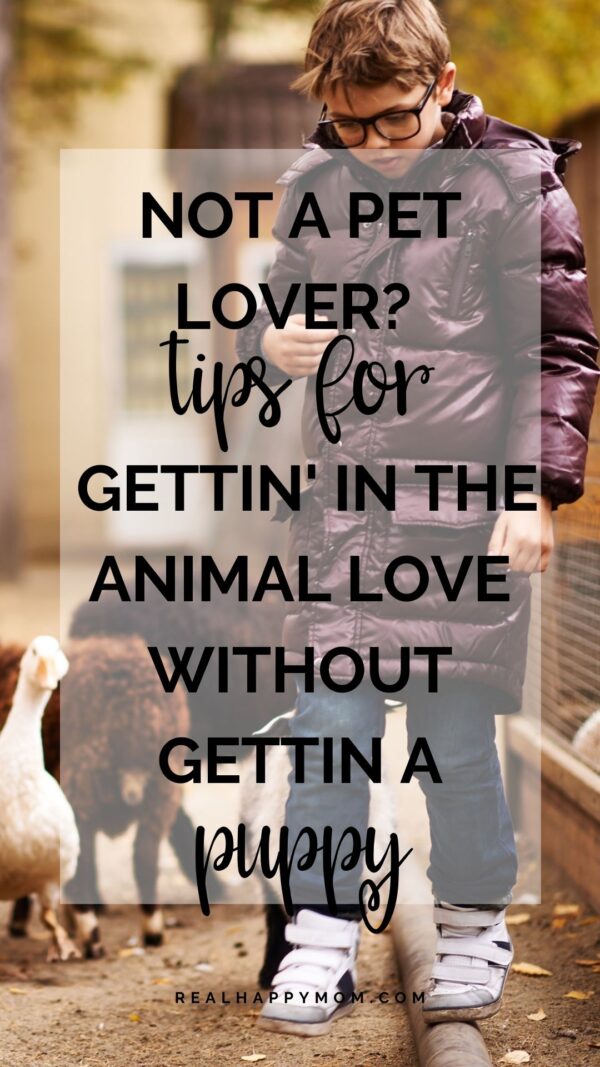 Not a Pet Lover? Tips for Gettin’ in the Animal Love WITHOUT Gettin a ...